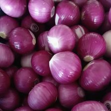 Wholesale Red Onion Supplier | Bulk & Processed Onions | Tasty One