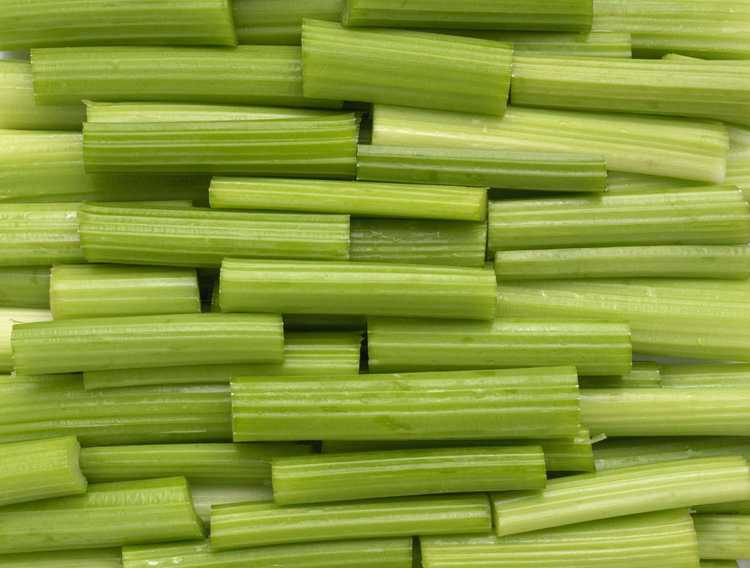 Celery | Tasty One