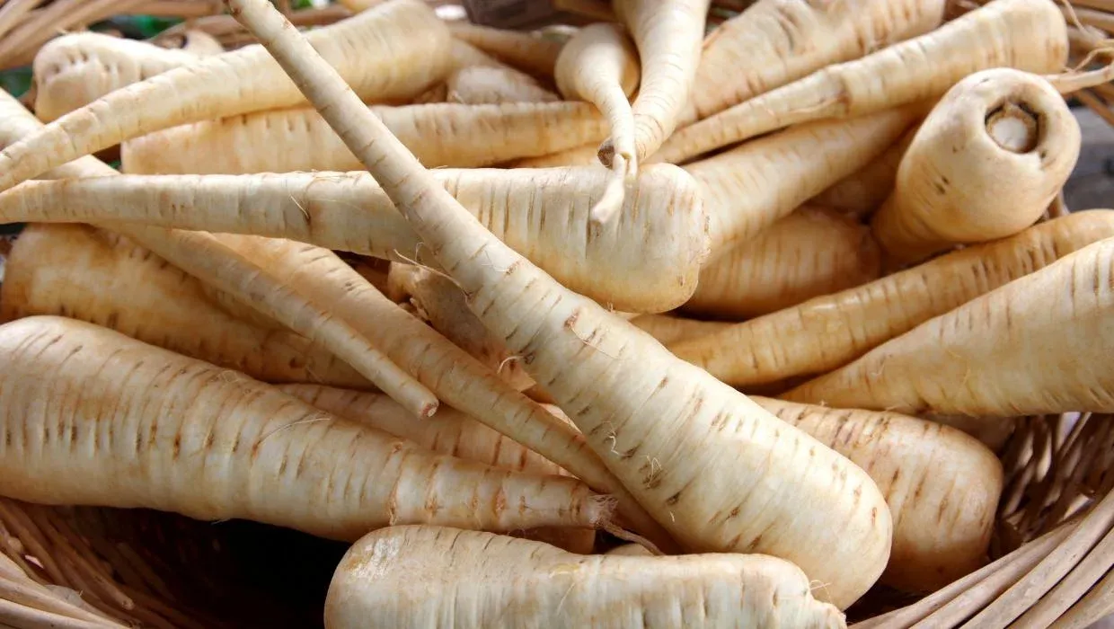 Wholesale Parsnip Supplier | Bulk & Processed Parsnip | Tasty One