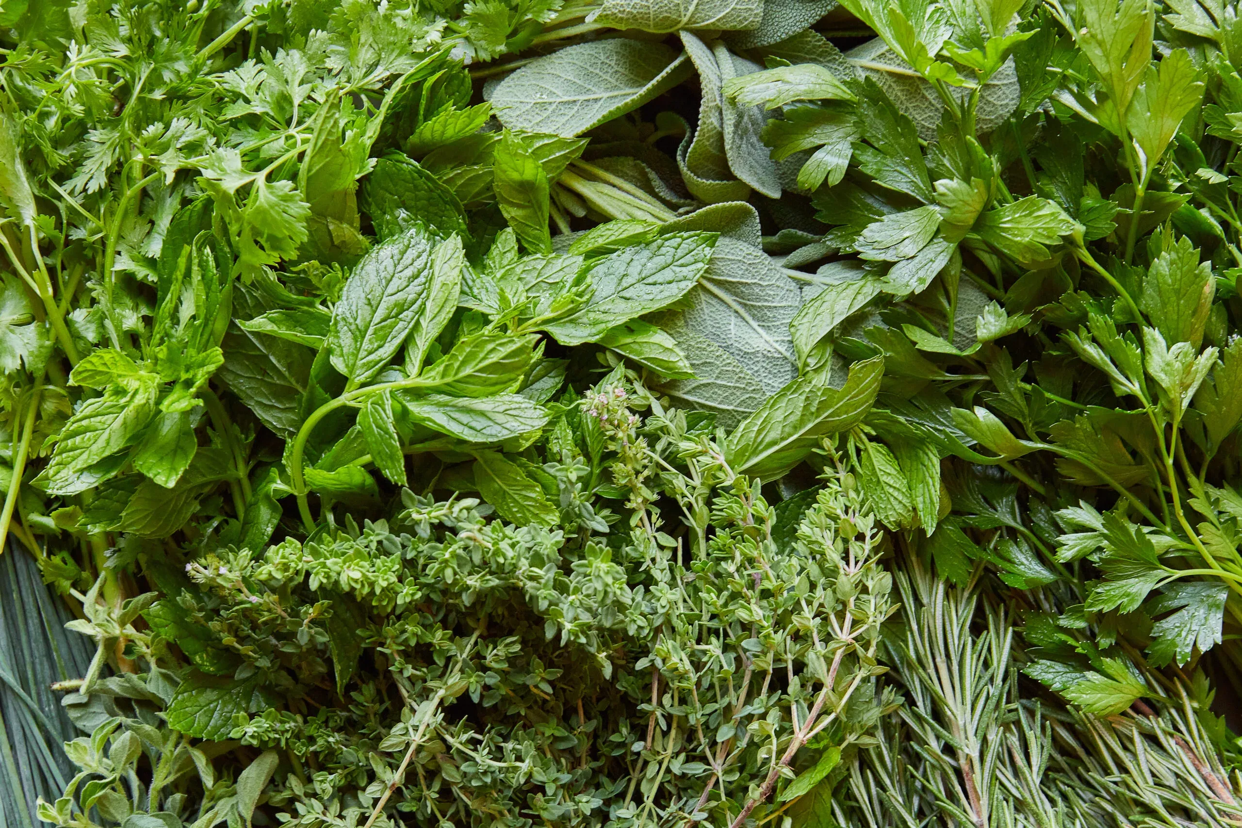 Wholesale Herbs Supplier | Bulk & Processed Herbs | Tasty One