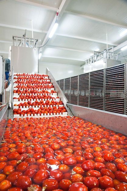 Australian Food Manufacturers | Tasty One