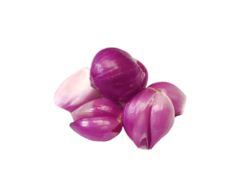 Wholesale Shallots Supplier | Bulk & Processed Shallots | Tasty One