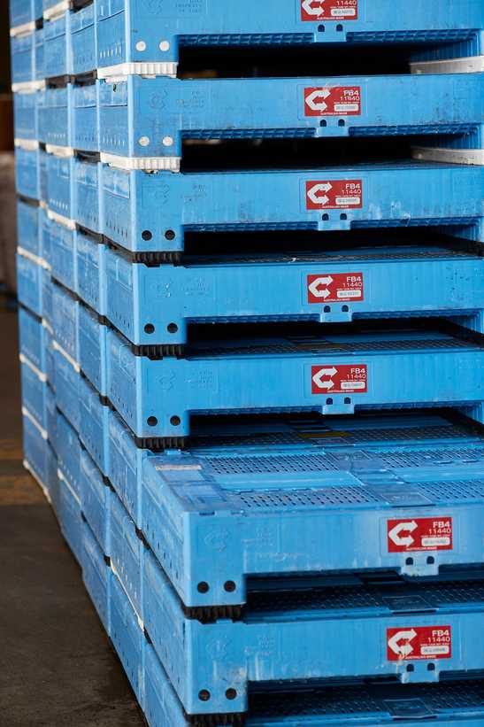 About Us | Tasty One